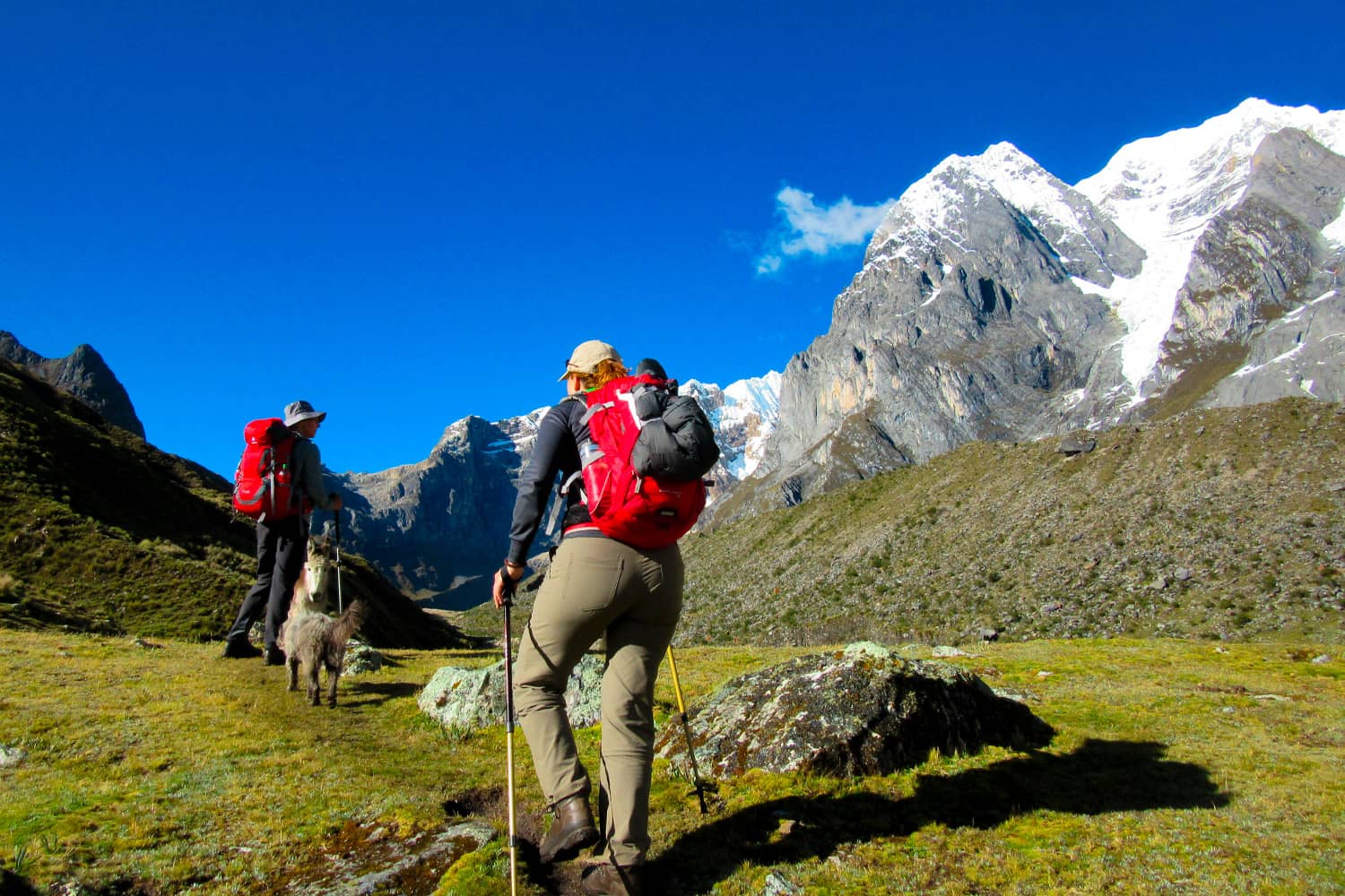 Day hikes in Huaraz and Cordillera Blanca, full days season 2025| Qorianka